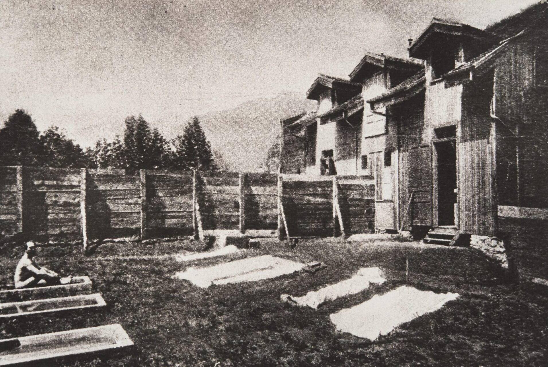 yoga au musée + performances - MBAL