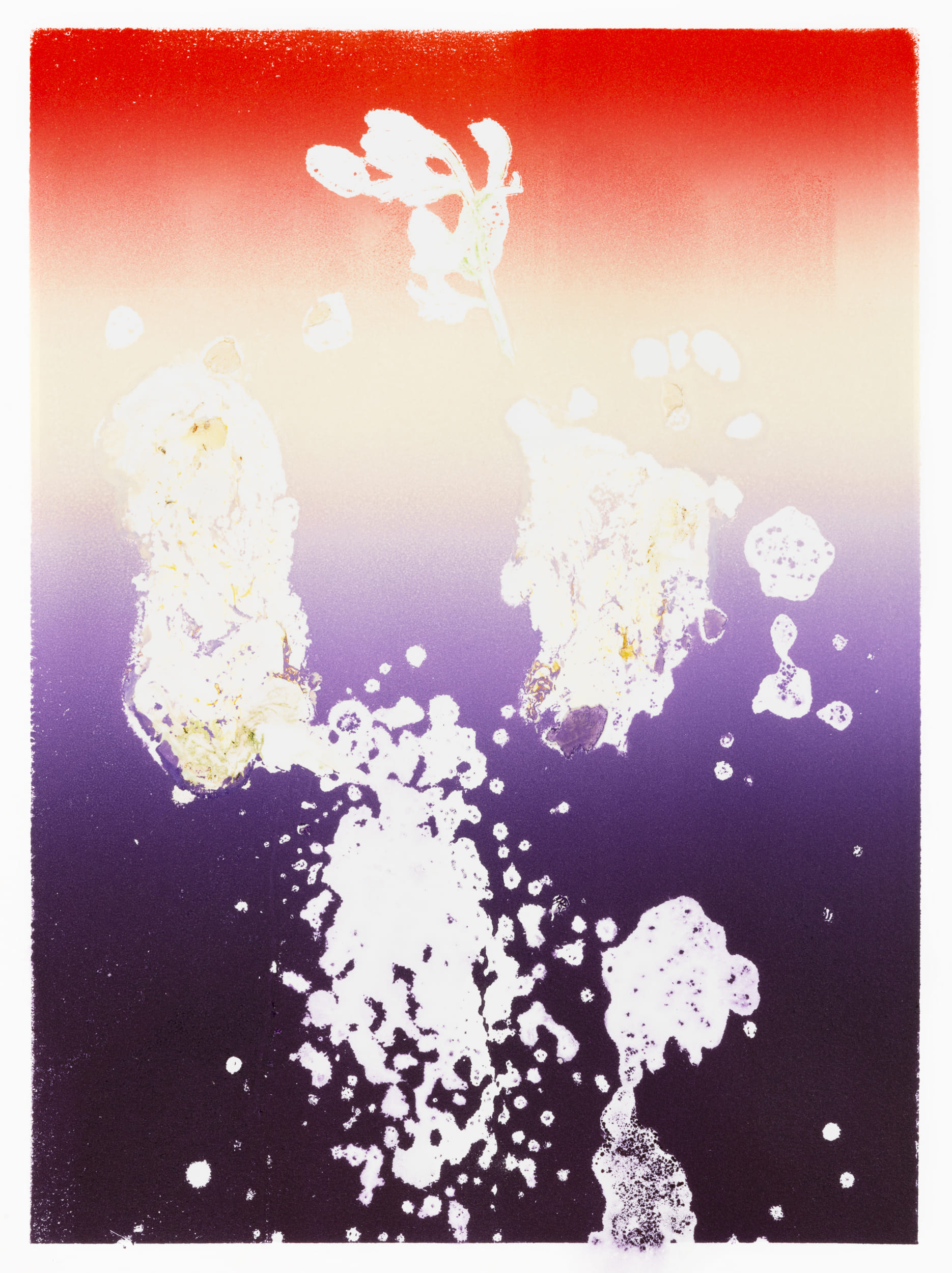 Michael Günzburger - MBAL